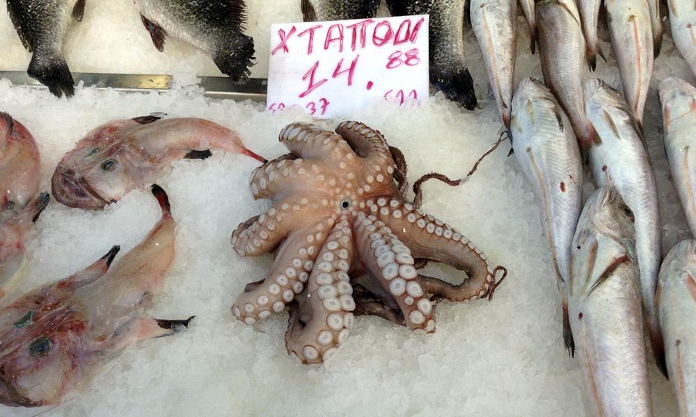 Πώς να αναγνωρίσετε τα κακής ποιότητας Σαρακοστιανά | Parallaxi Magazine