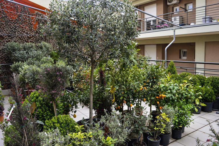 Ένας αστικός παράδεισος για κήπους και μπαλκόνια στην πόλη! | Parallaxi ...