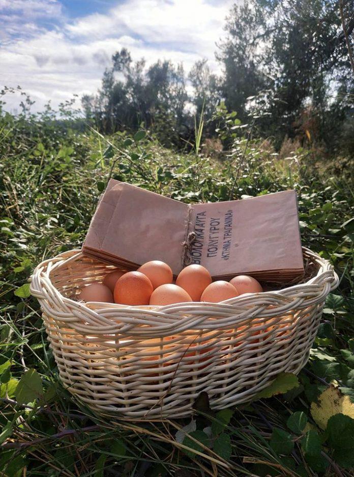 Τα νοστιμότερα χωριάτικα βιολογικά αυγά γεννιούνται γύρω από μια καλύβα ...
