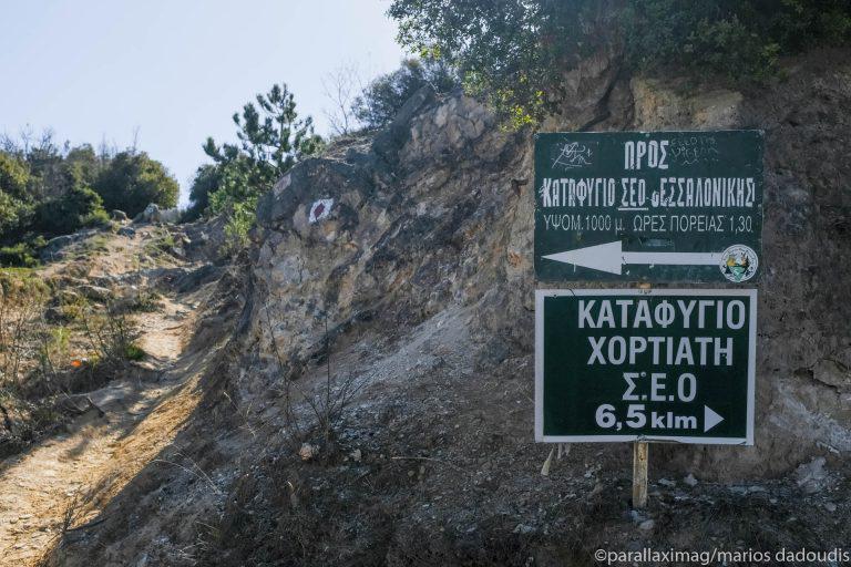 Βόλτα στον Χορτιάτη – 6 στάσεις που πρέπει να κάνεις | Parallaxi Magazine