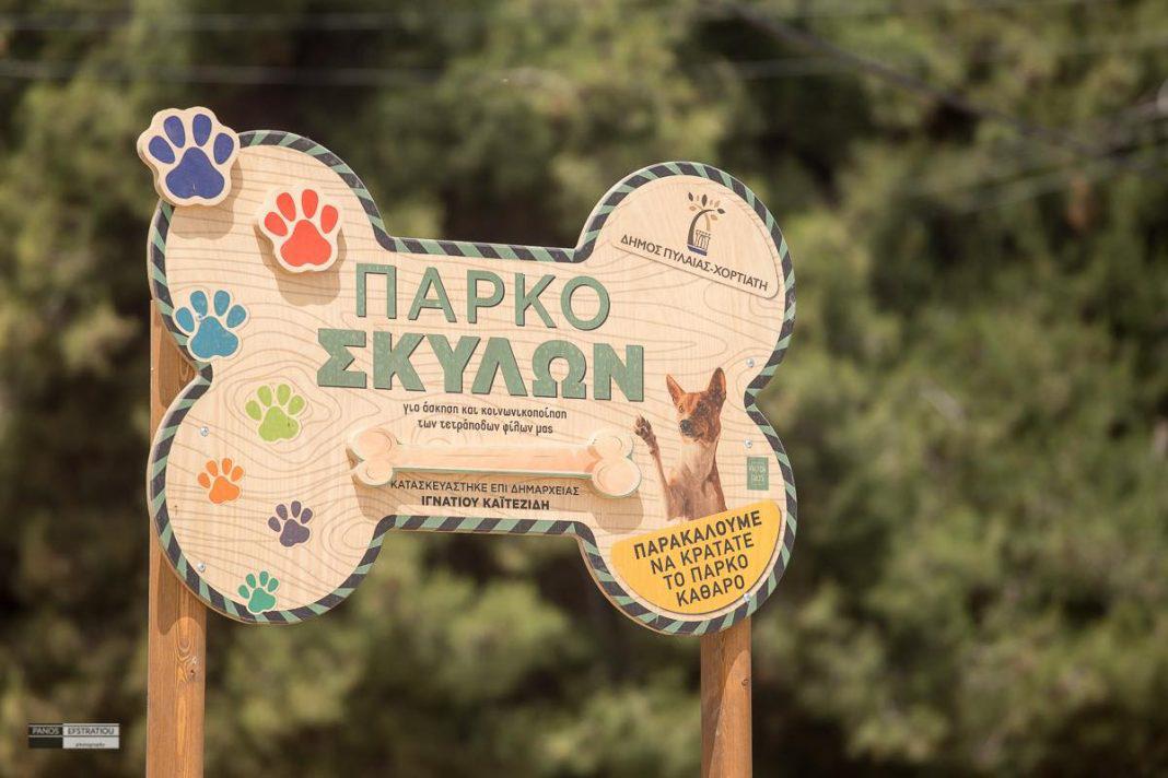 Ελαιόρεμα: Το πρώτο πάρκο σκύλων στη Θεσσαλονίκη παραμένει 2 χρόνια ...