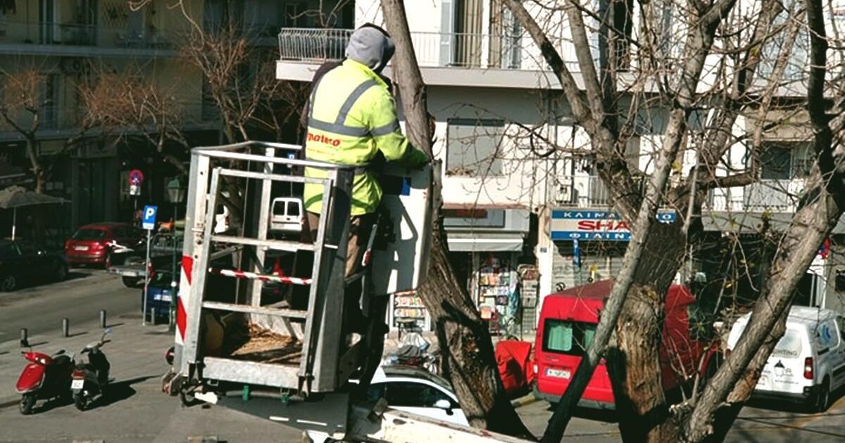 Δήμος Θεσσαλονίκης: Κλάδεμα δέντρων στην οδό Απόλλωνος | Parallaxi Magazine