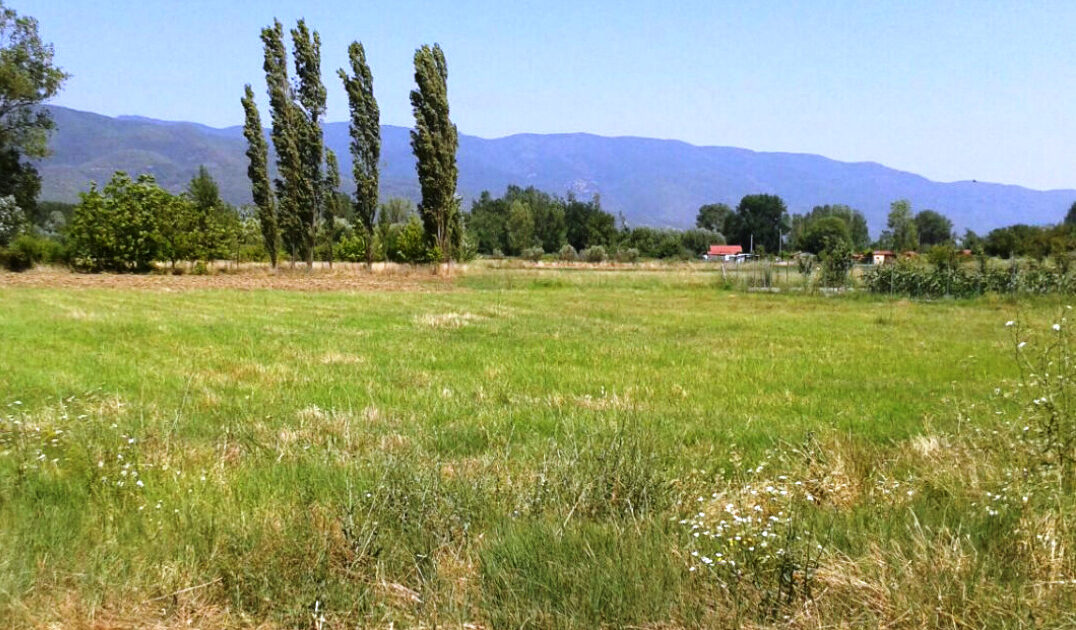 Δήμος Νεάπολης Συκεών: Ενημέρωση για τα ακαθάριστα οικοπεδα | Parallaxi ...