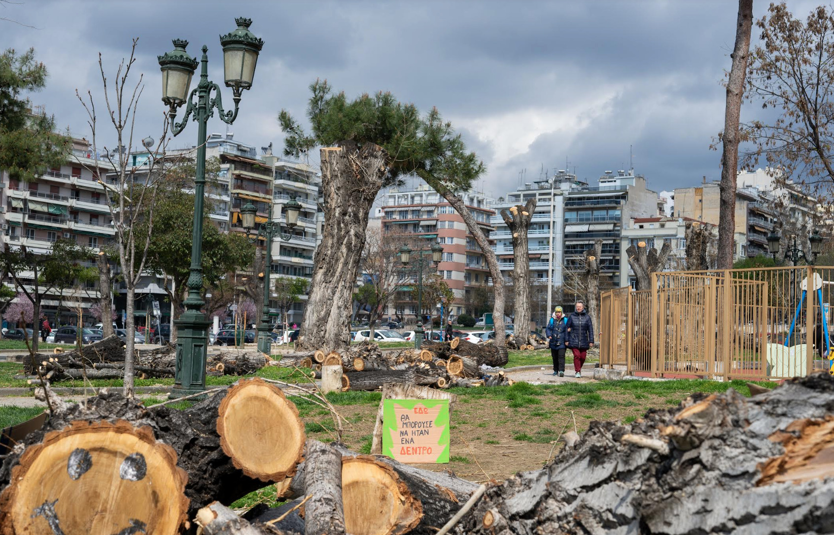 Από το αστικό πράσινο στο αστικό γκρι: Το χρονικό της κοπής των δέντρων ...