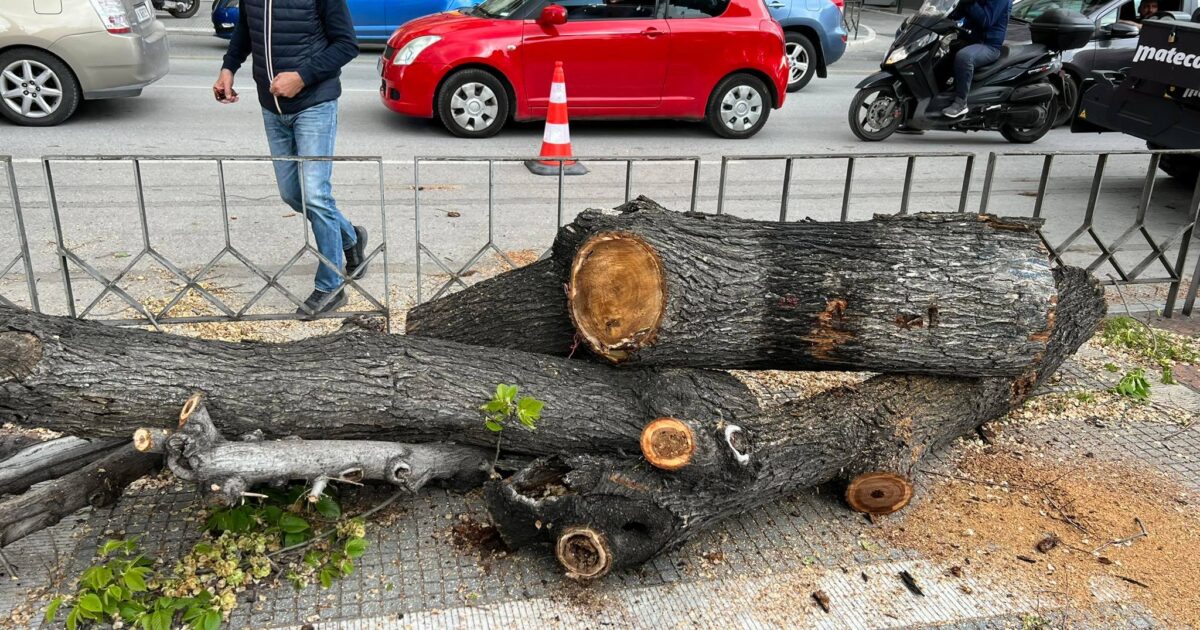 Δήμος Θεσσαλονίκης: Απορρίφθηκε η αίτηση Τρεμόπουλου-πολιτών για την ...