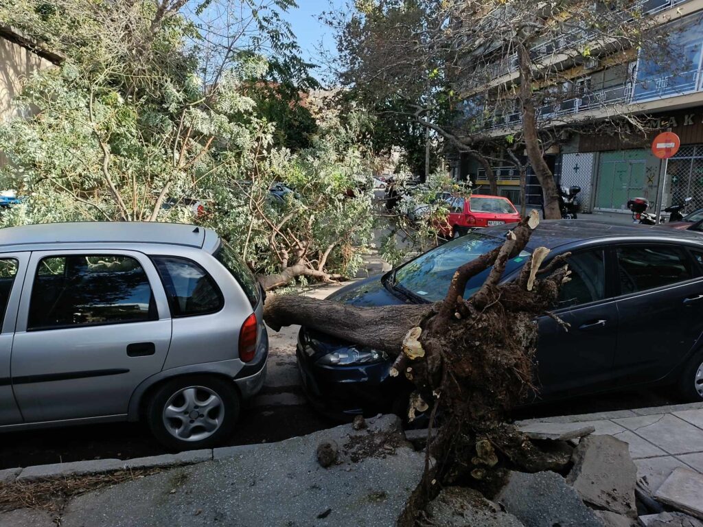 Θεσσαλονίκη: Δέντρο έπεσε από τον αέρα πάνω σε αυτοκίνητα στη Χαριλάου ...