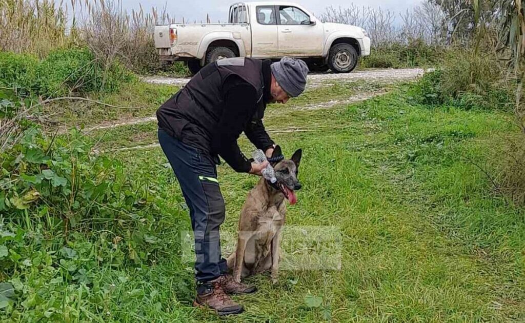 Μεσολόγγι: «Καμία συσκευή δεν μπορεί να αντικαταστήσει τη μύτη σκύλου ...