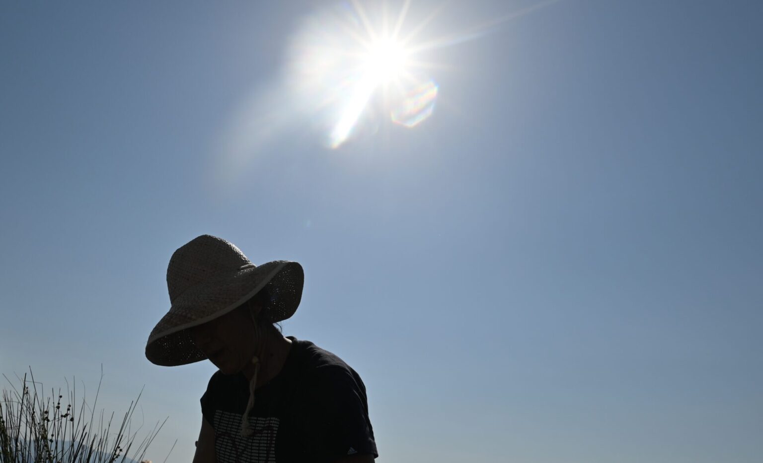 Τα 12 SOS του καλοκαιριού | Parallaxi Magazine