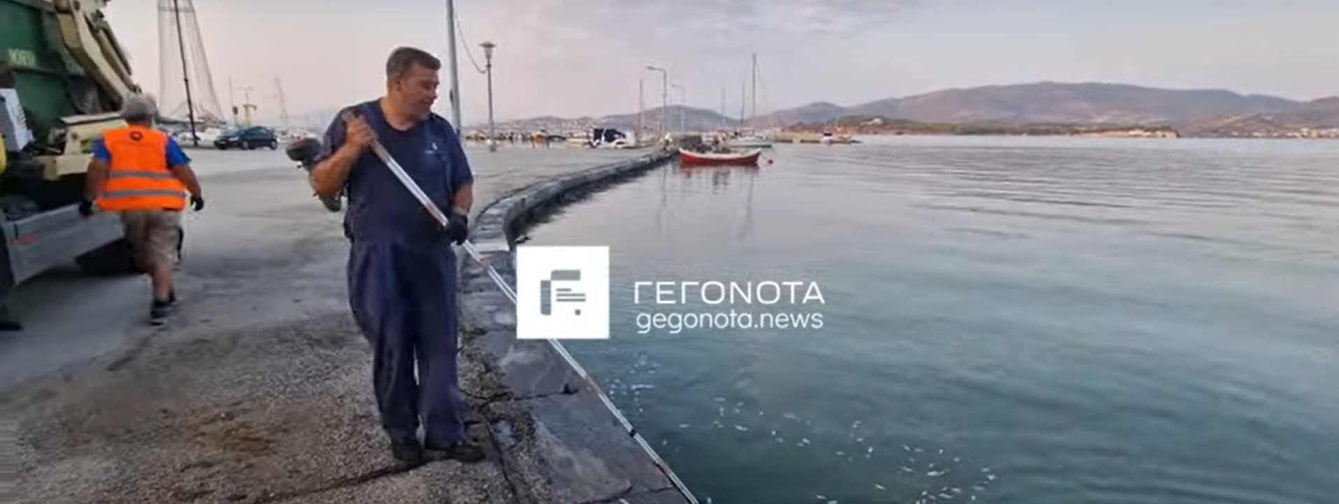 ΒΙΝΤΕΟ: Με απόχες μαζεύουν τα νεκρά ψάρια από το λιμάνι του Βόλου ...