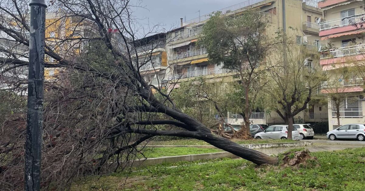 Κακοκαιρία Bora: Ήχησε το 112 στη Θεσσαλονίκη | Parallaxi Magazine