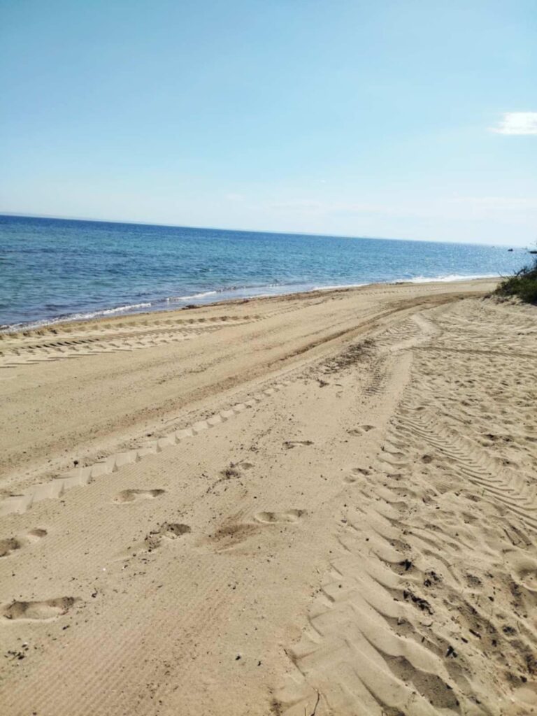 Χαλκιδική: Αλλαγές στην παραλία Γερακινής | Parallaxi Magazine