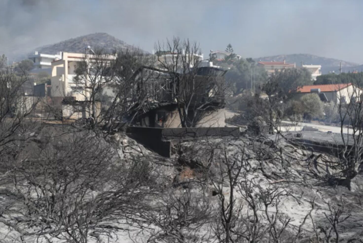 Σε ύφεση η φωτιά στην Παλαιά Φώκαια – Συνεχίζεται η μάχη με τις φλόγες ...