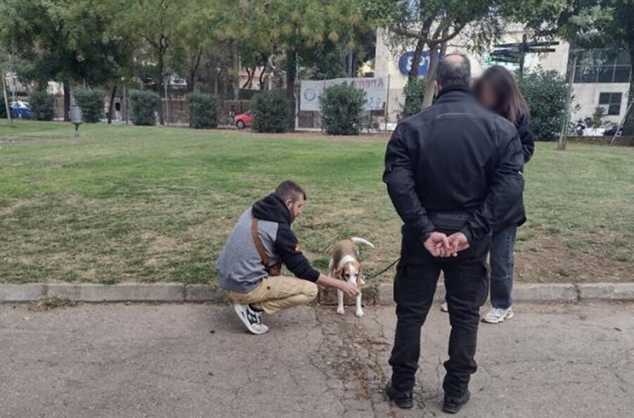 Θεσσαλονίκη: Πρόστιμα έως 1.000 ευρώ σε ιδιοκτήτες ζώων συντροφιάς ...